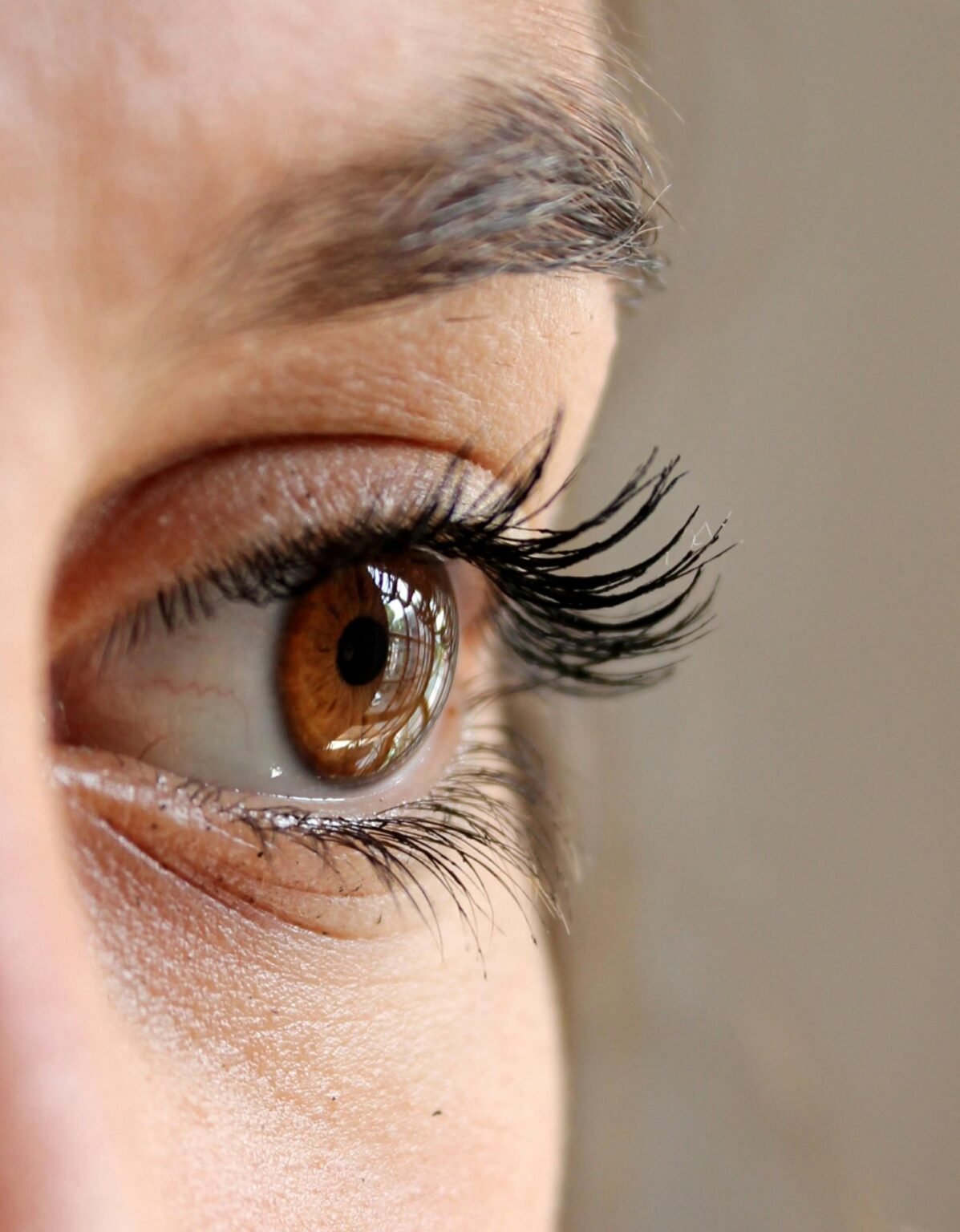 Eyelash Growth Cycle: Stages & Normal Shedding - lashvee